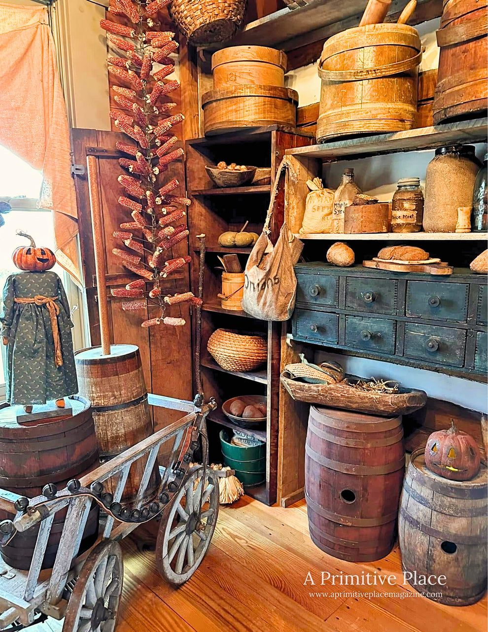 Special Edition Issue: Fall Back in Time – A Primitive Place