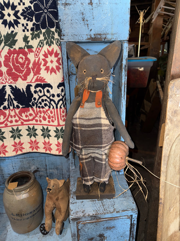 Kiko Cat – A Primitive Place