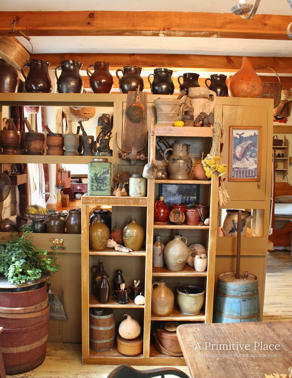 Special Edition Issue: Fall Back in Time – A Primitive Place